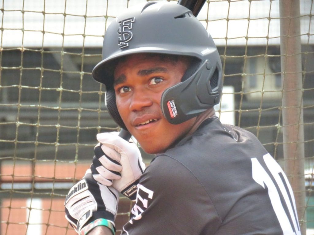 Future Stars Series 2024 MLB Draft Prospect Profile: David Hogg II ...